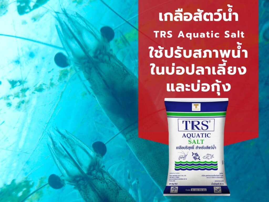 เกลือบริสุทธิ์ TRS Refined Salt - จำหน่ายเคมีภัณฑ์บำบัดน้ำ